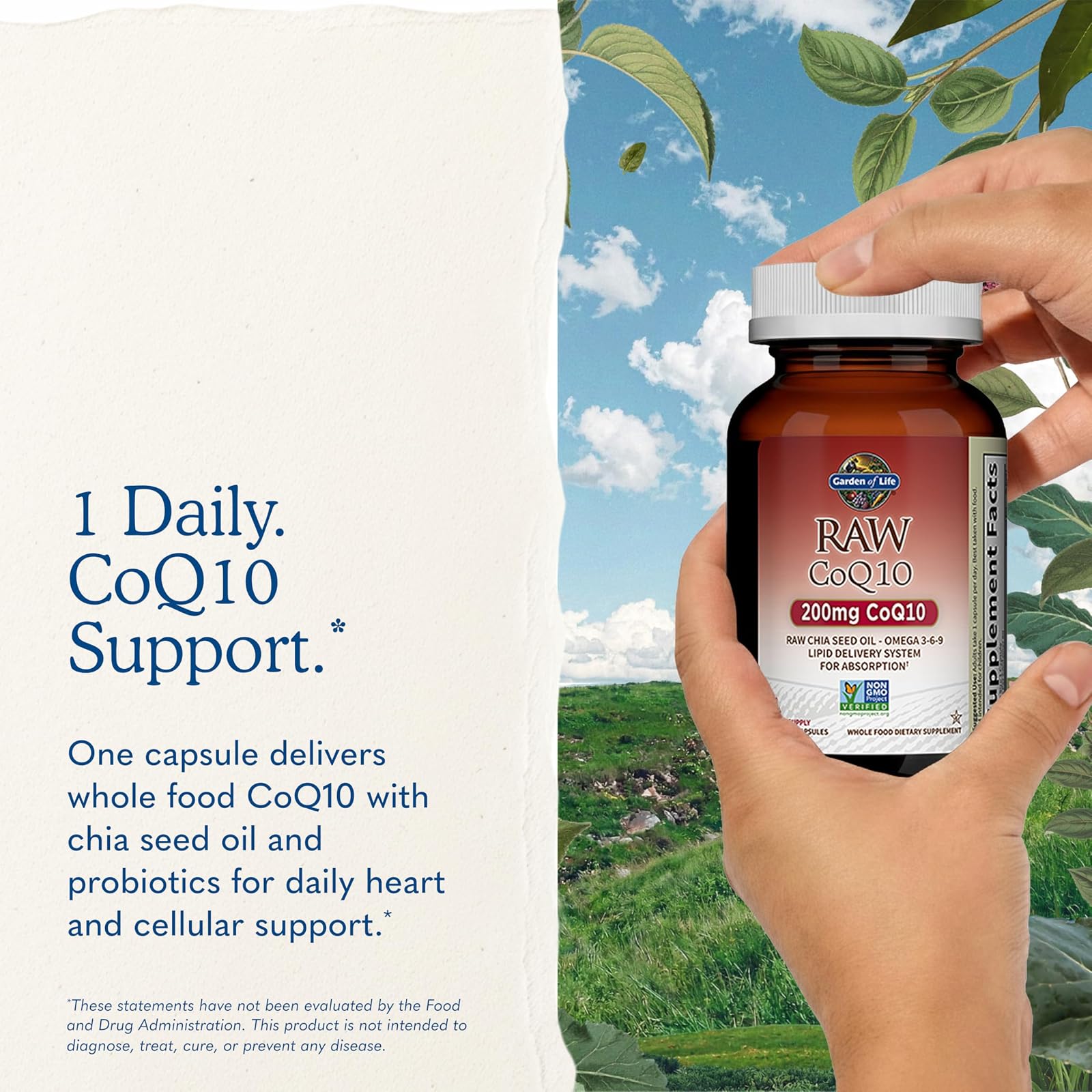 CoQ10 for cellular energy