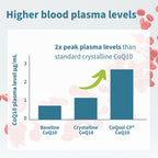 coq10 for healthy aging support