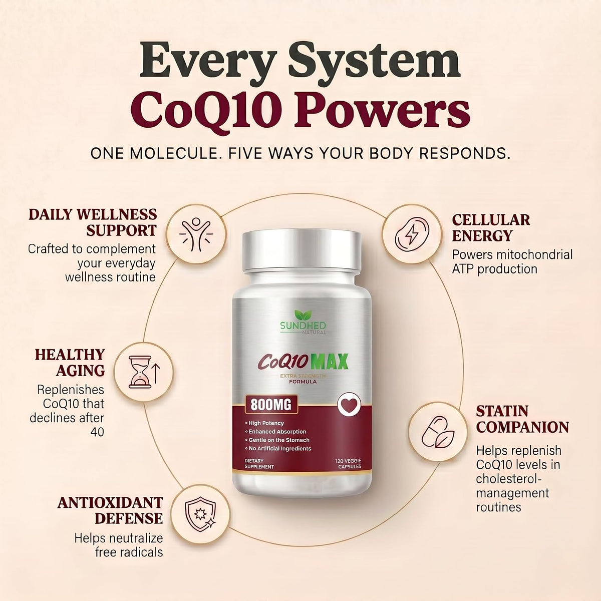 coq10 for healthy aging