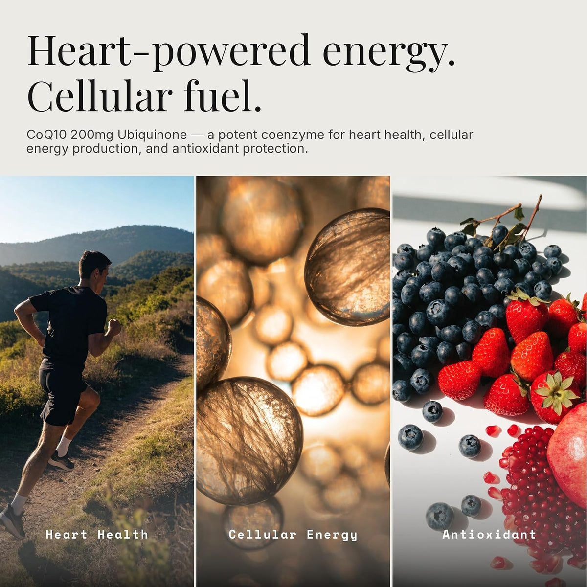 CoQ10 for heart health
