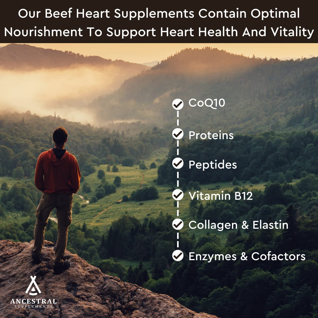 CoQ10 for optimal cellular function