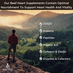 CoQ10 for optimal cellular function
