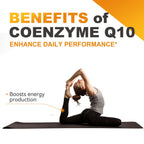 coq10 gummies for antioxidant support