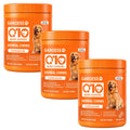 CoQ10 heart chew for dogs