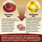 CoQ10 infused red yeast rice