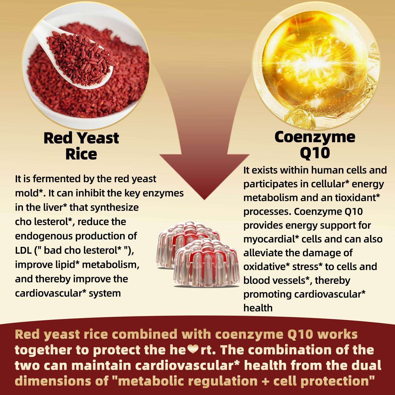 CoQ10 infused red yeast rice