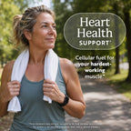 coq10 softgels for daily wellness
