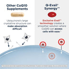coq10 softgels for daily wellness