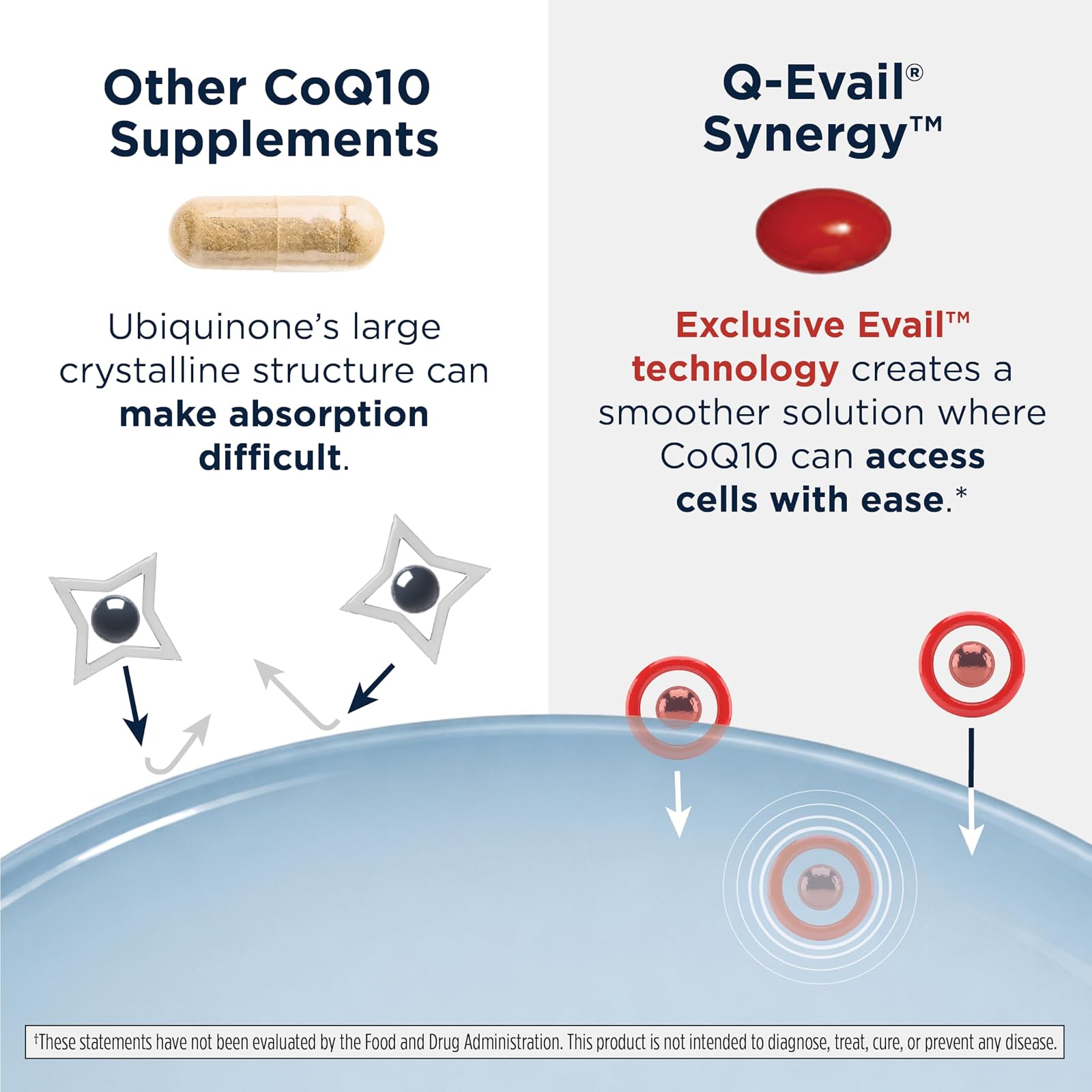 coq10 softgels for daily wellness