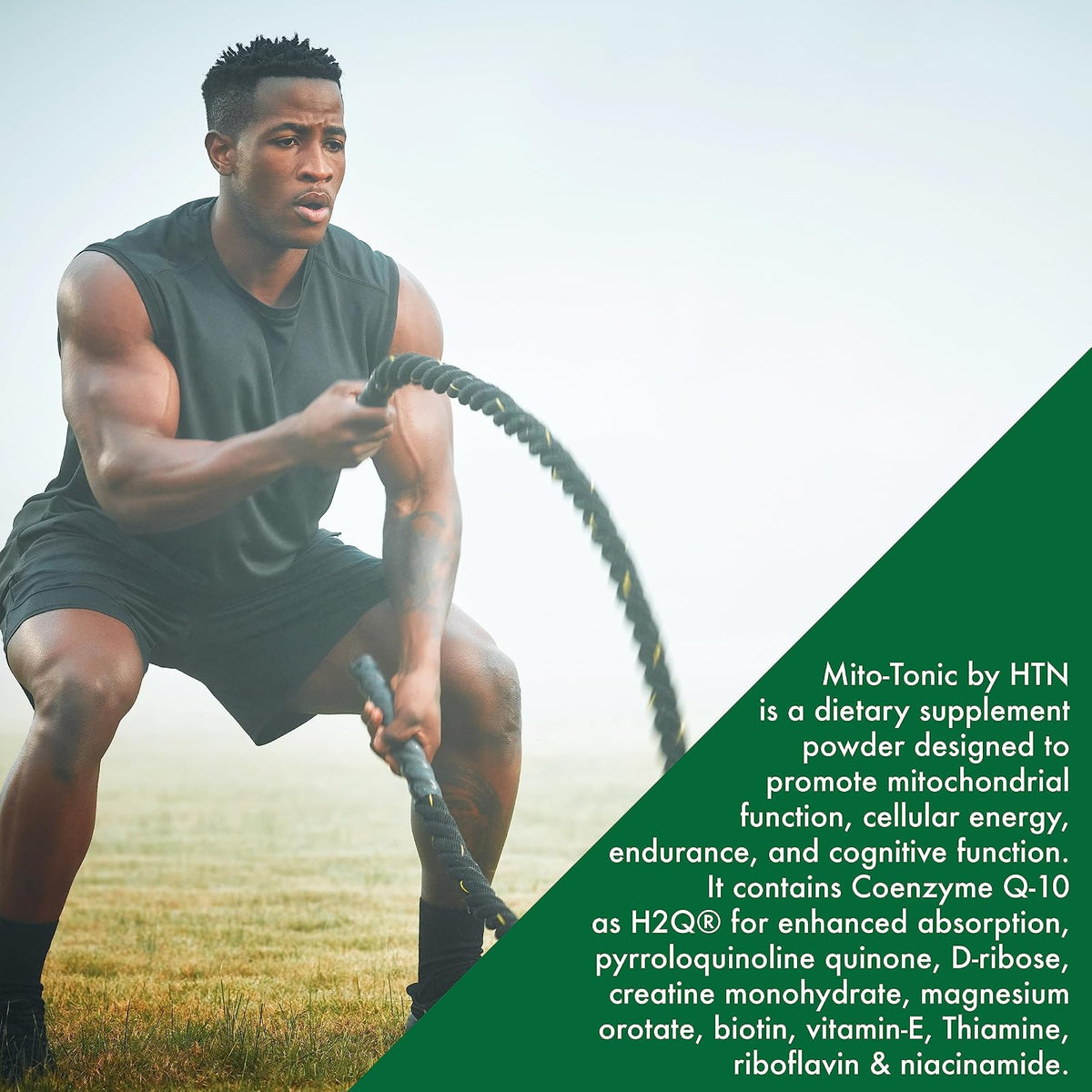 coq10 supplement for active lifestyle