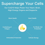 CoQ10 supplement for active lifestyle