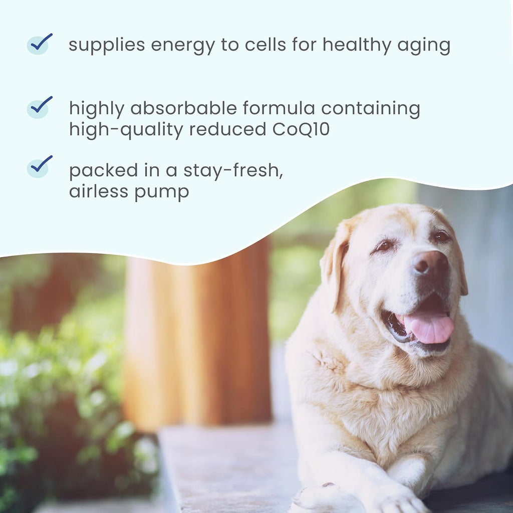 CoQ10 supplement for healthy pets