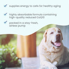 CoQ10 supplement for healthy pets