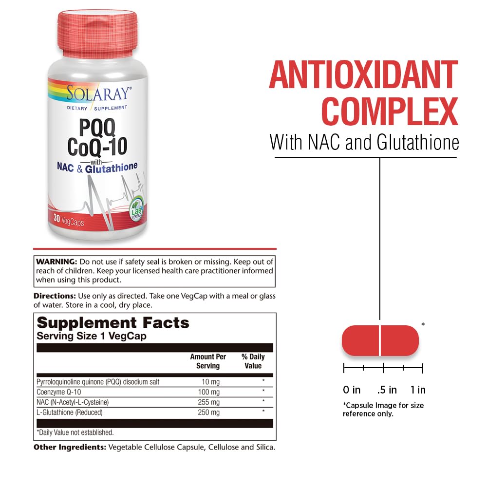 CoQ10 ubiquinol antioxidant benefits