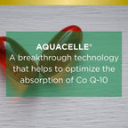 coq10 ubiquinol antioxidant support