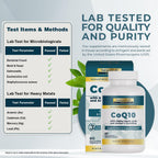 coq10 ubiquinol energy booster
