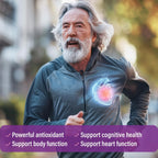 coq10 ubiquinol energy booster