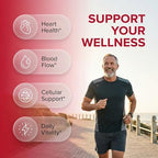 coq10 ubiquinol energy production supplement