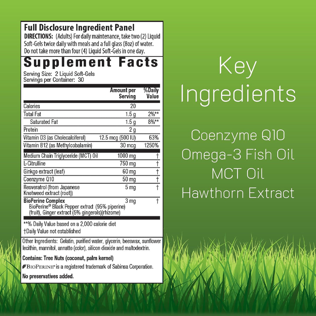coq10 ubiquinol energy support