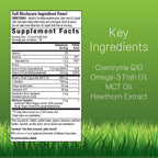 coq10 ubiquinol energy support