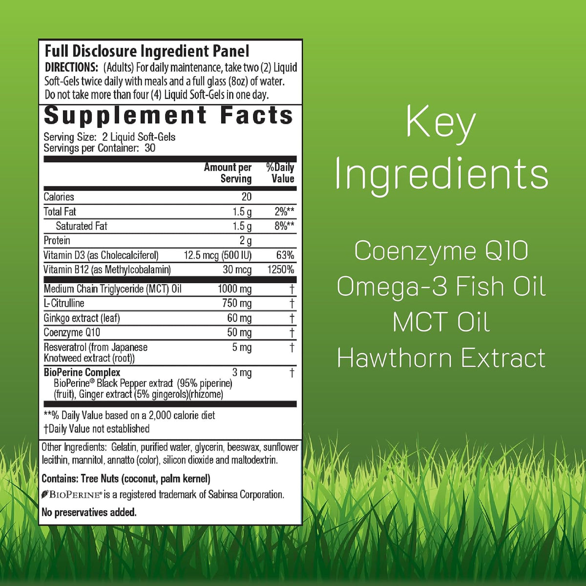 coq10 ubiquinol energy support