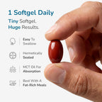 coq10 ubiquinol for antioxidant support