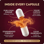 coq10 ubiquinol for antioxidant support
