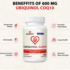 coq10 ubiquinol for cellular energy