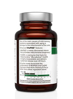 CoQ10 ubiquinol for energy support