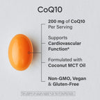 coq10 ubiquinol for energy support