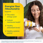 CoQ10 ubiquinol for energy support