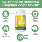 coq10 ubiquinol for heart health