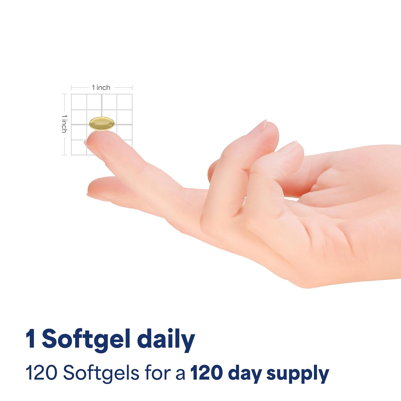 coq10 ubiquinol for vitality