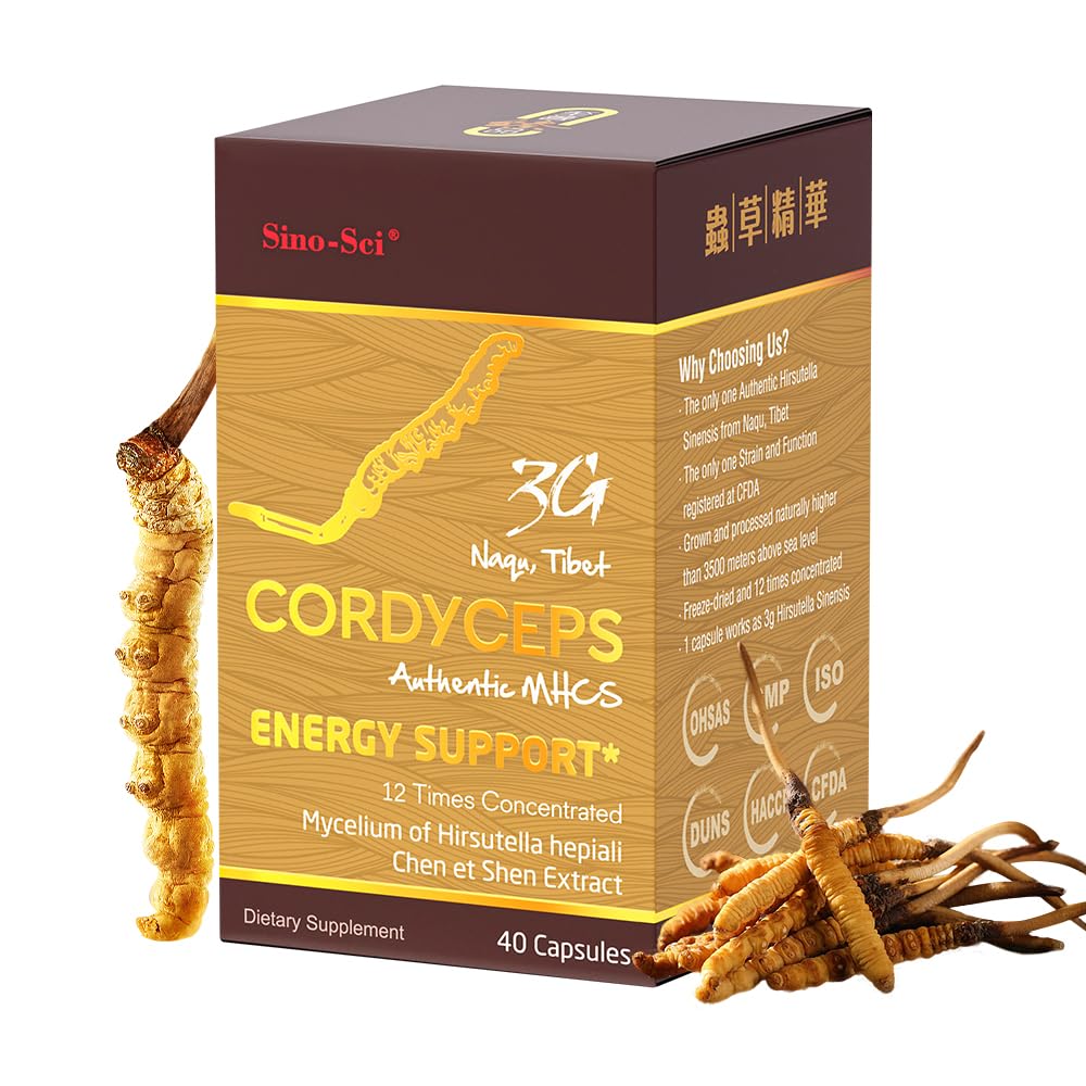 Cordyceps 12X extract health benefits