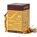 Cordyceps 12X extract health benefits