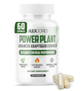 Cordyceps adaptogen complex benefits