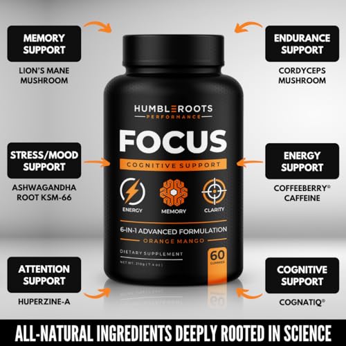 cordyceps and lion's mane benefits