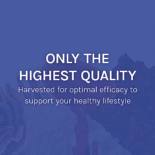 Cordyceps and Reishi mushroom benefits