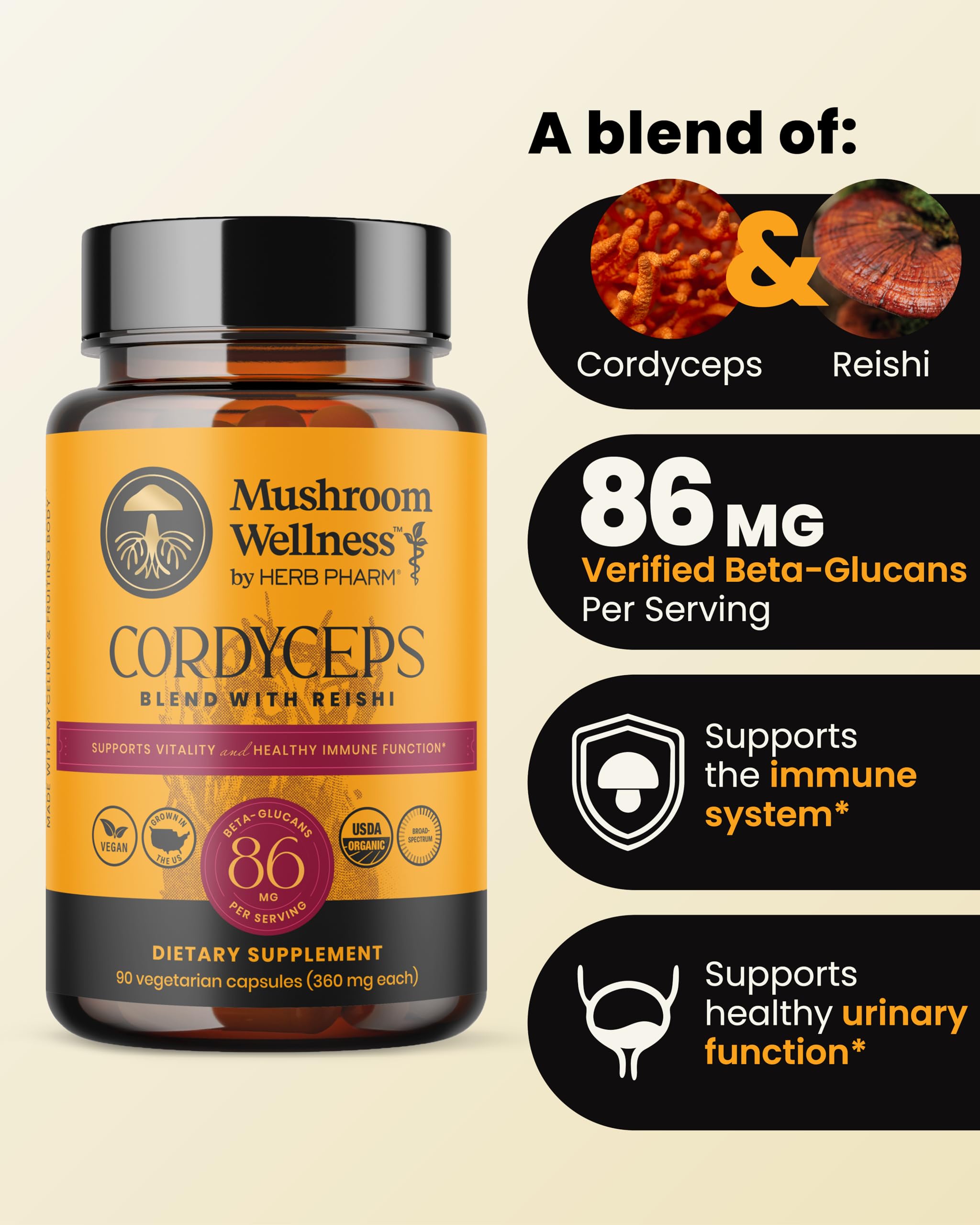Cordyceps and Reishi mushroom benefits