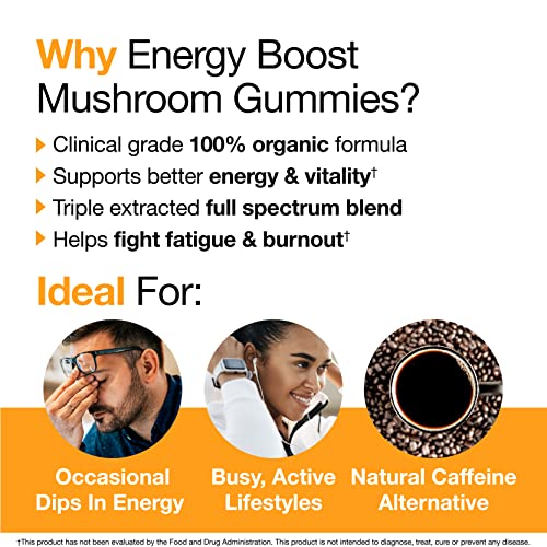 Cordyceps and Schisandra benefits