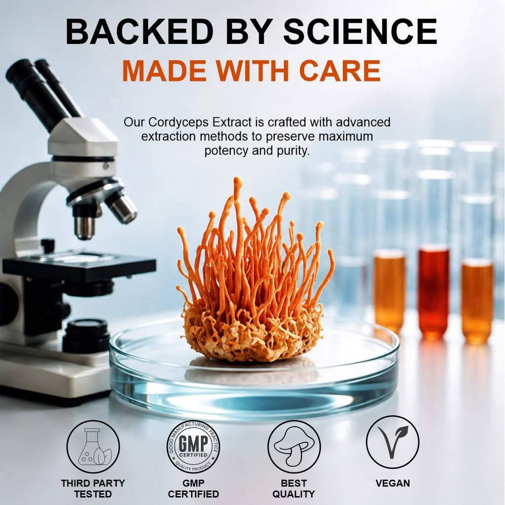Cordyceps capsules for daily wellness