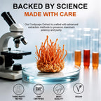 Cordyceps capsules for daily wellness
