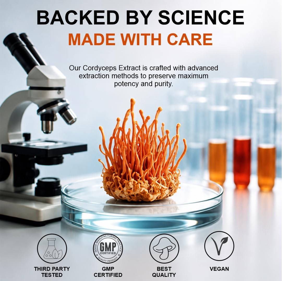 Cordyceps capsules for daily wellness