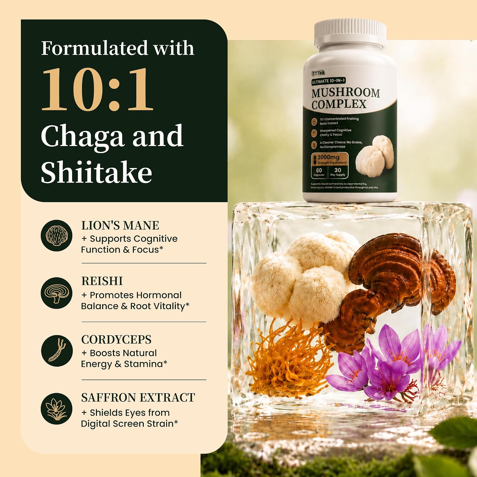 Cordyceps energy boosting capsules