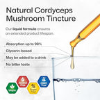 cordyceps extract for athletic performance