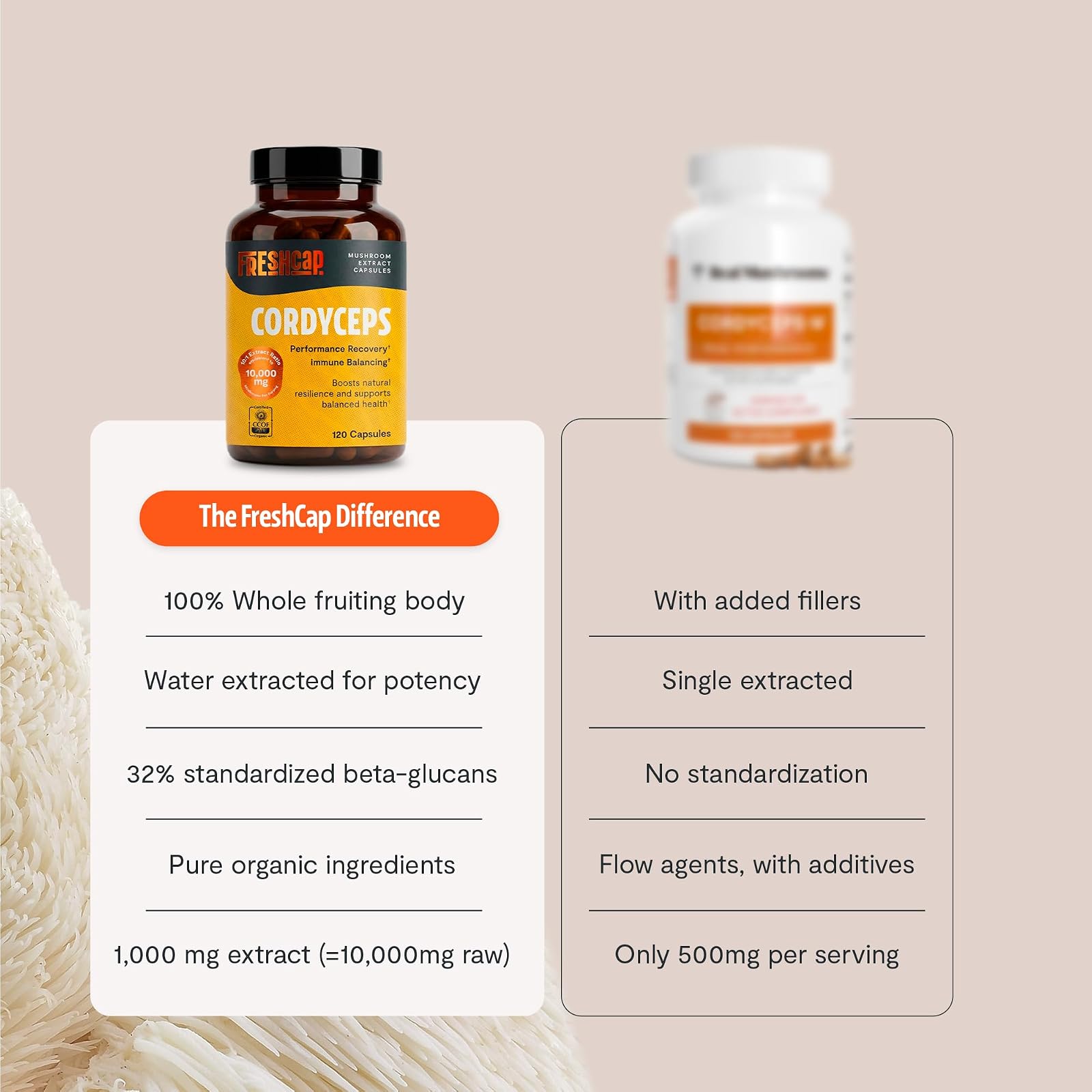 cordyceps extract for enhanced focus