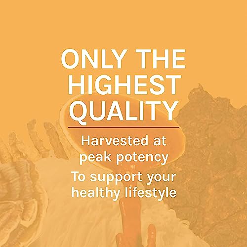 Cordyceps extract for mental clarity