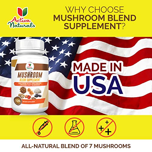 Cordyceps for energy and endurance