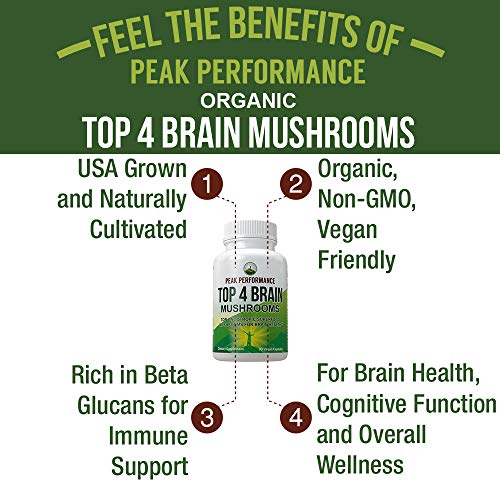 cordyceps for energy and endurance