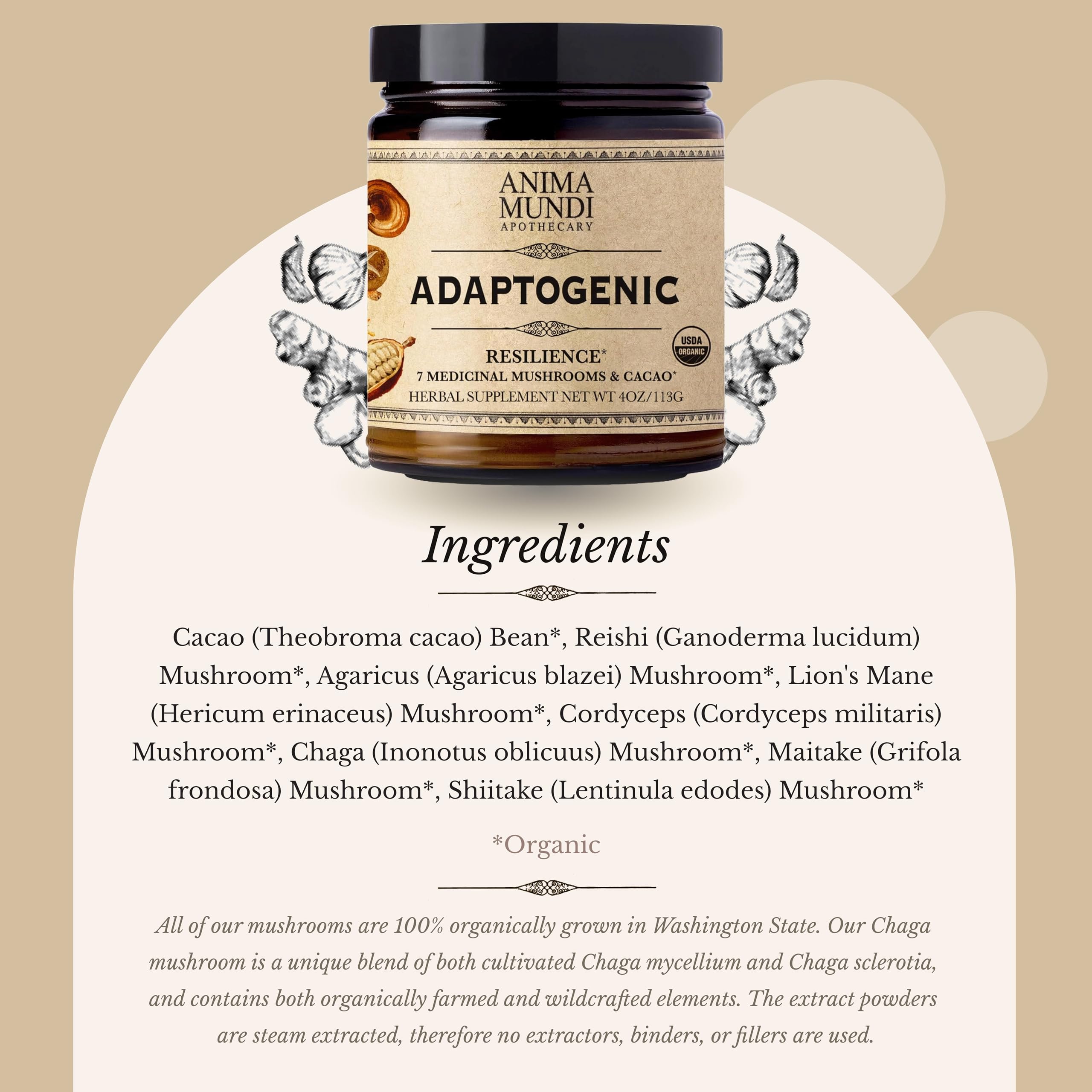 Cordyceps for energy and vitality